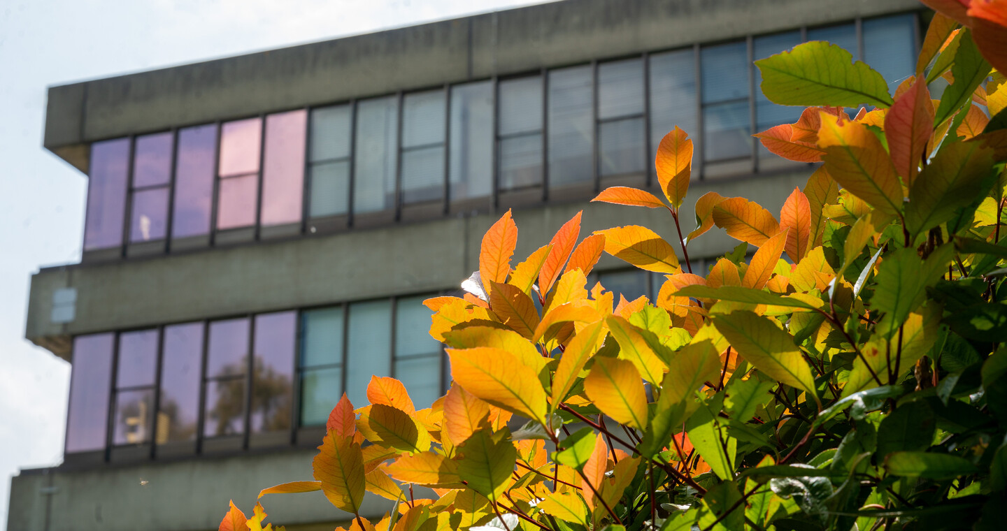 Emails from University of East Anglia | UEA