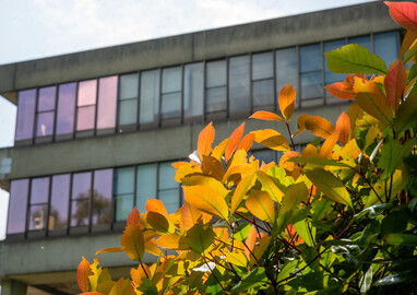 UEA Latest News Articles | UEA Portal
